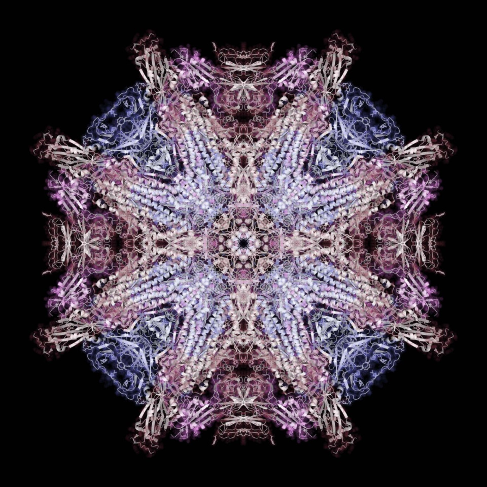 Laura Splan’s animations on view – RYAN LEE Gallery’s RL Window | New Media Caucus